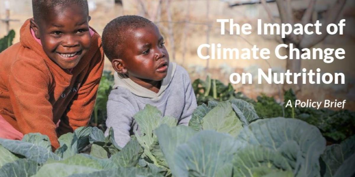 The Impact of Climate Change on Nutrition | Environmental Sustainability and Climate Action ...